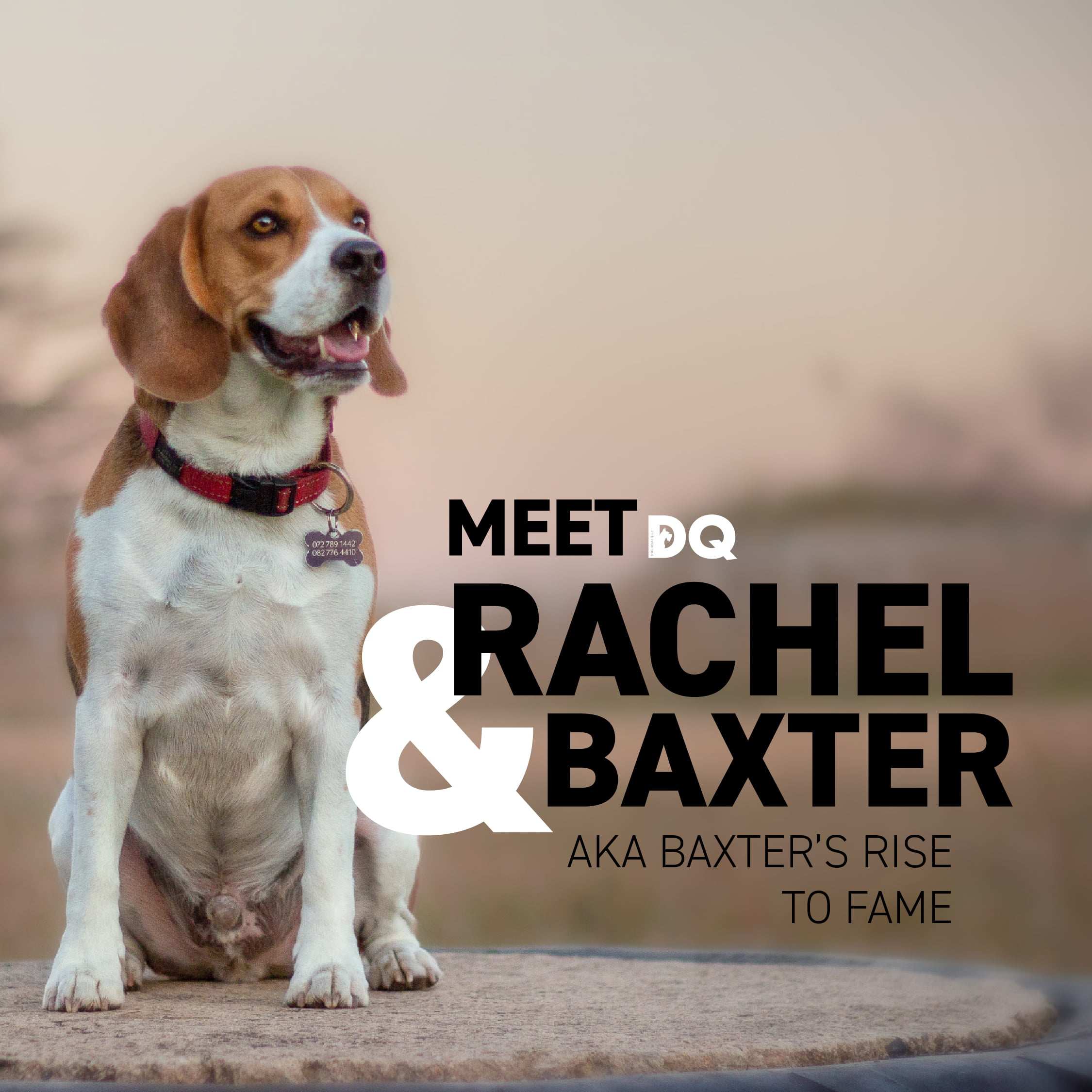 MEET RACHEL AND BAXTER - DQ Magazine